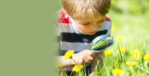 Mad Science of Milwaukee | Science Parties, Camps & Events